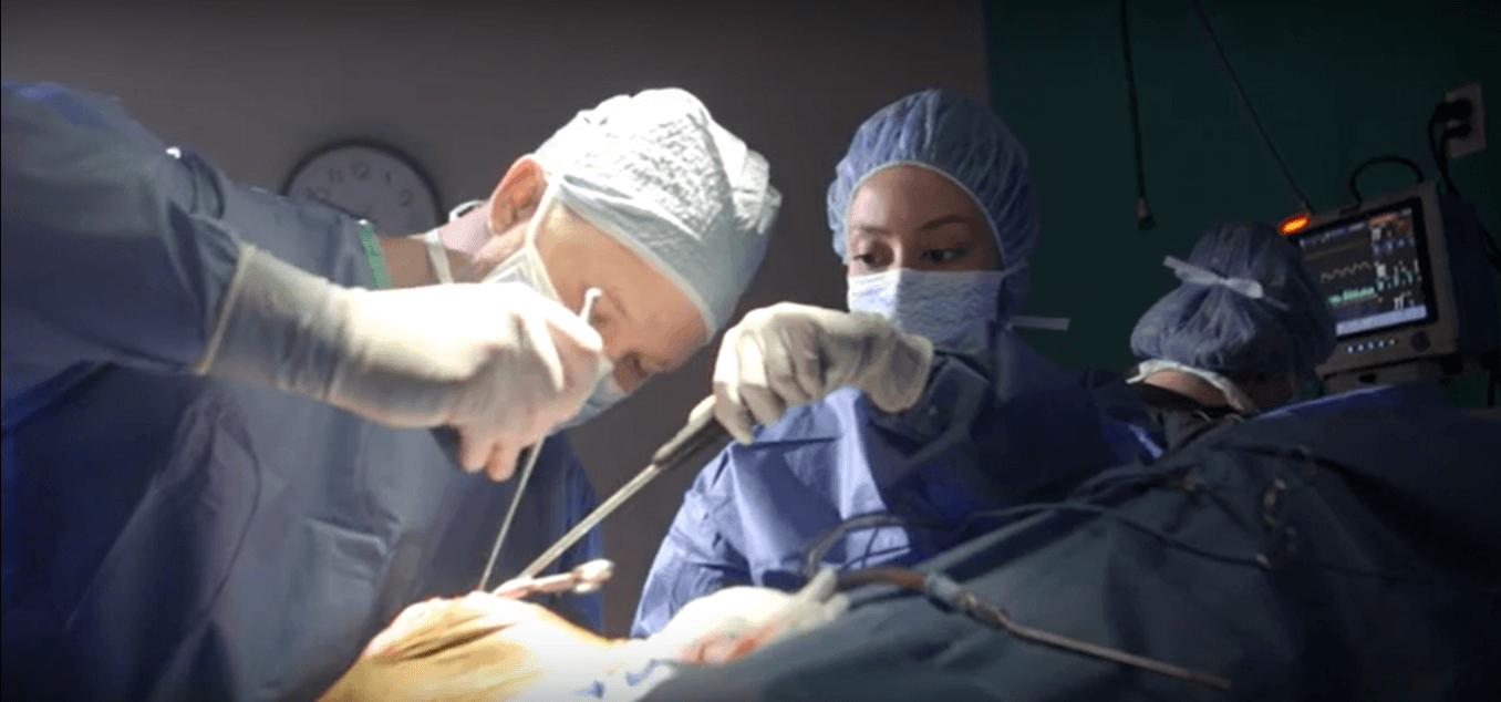 Top 10 TPLO Surgeons in California